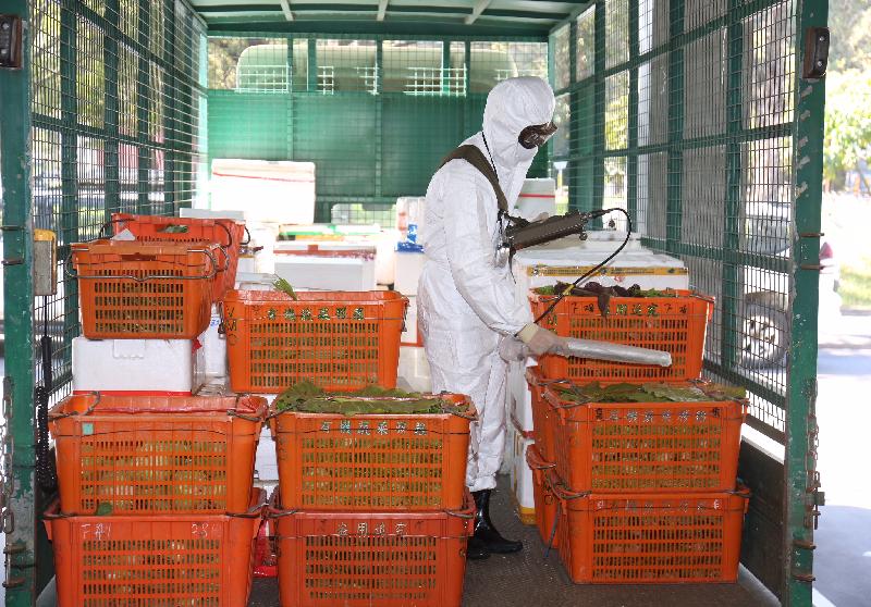 Daya Bay Contingency Plan (DBCP)